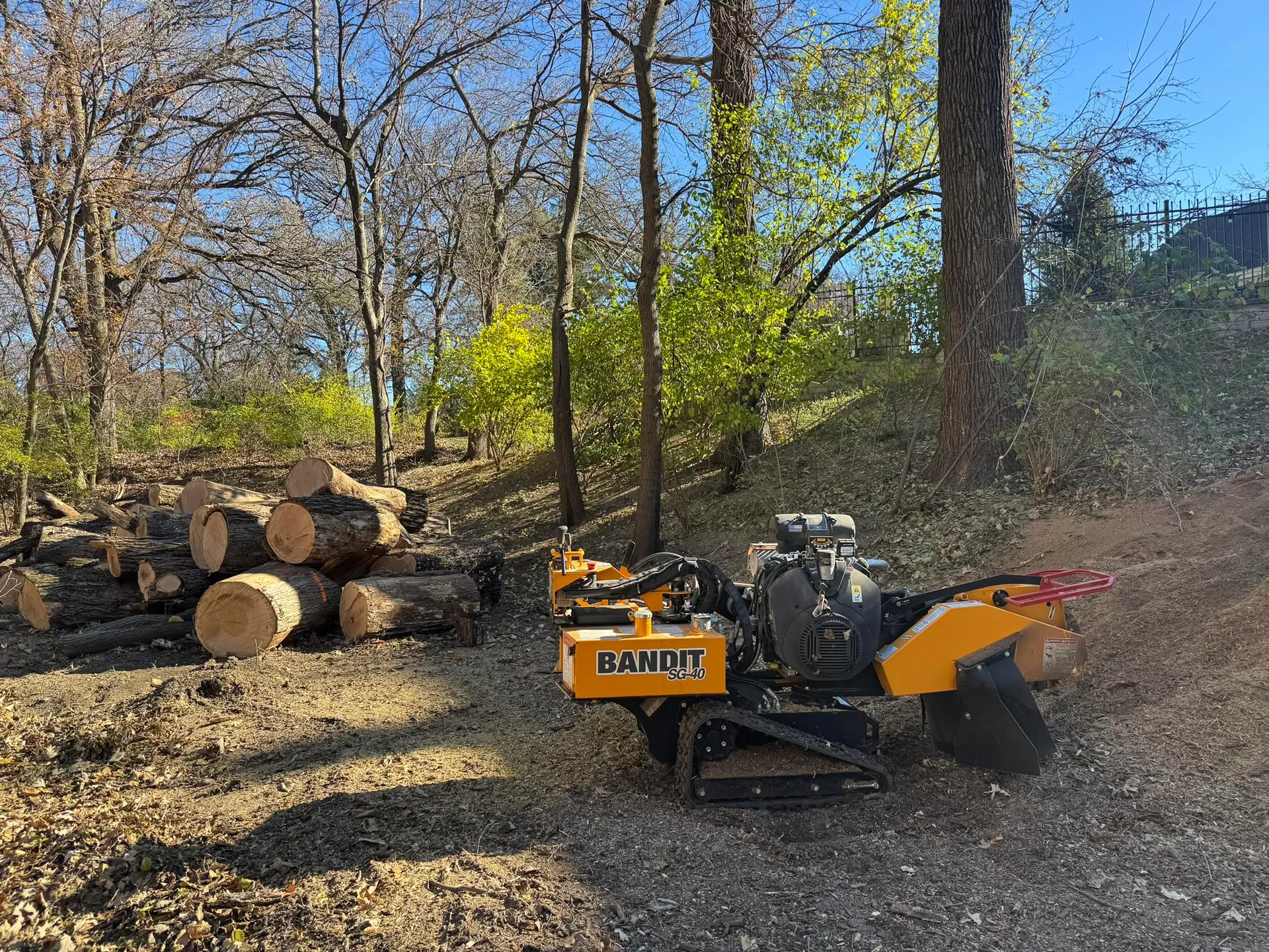 Tree Services - LTS Tree Experts | Plainfield, IL | LTS Tree Experts